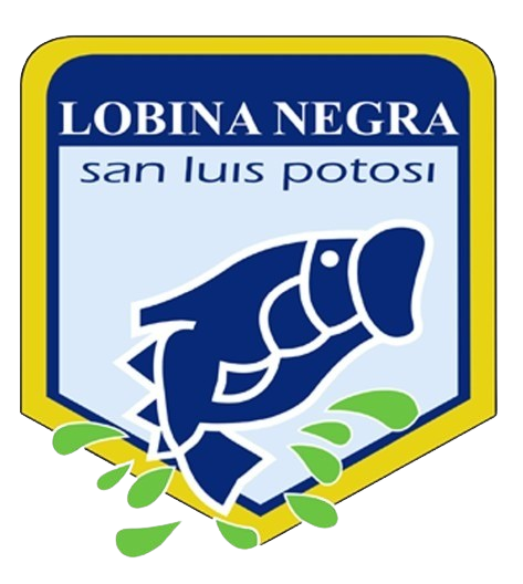 Club Lobina Negra